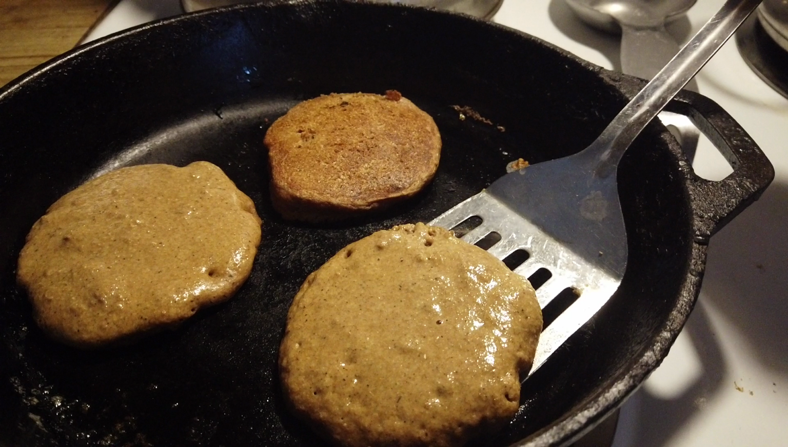 Using Foraging to Teach Plant Biology (and More) - Countryside